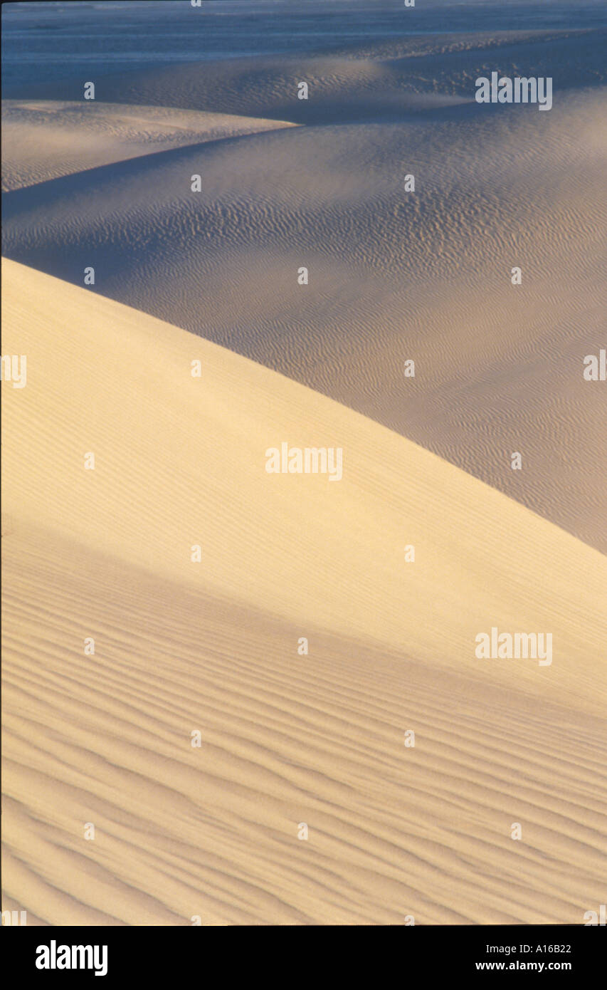 Dune patterns lancelin Western Australia Stock Photo - Alamy