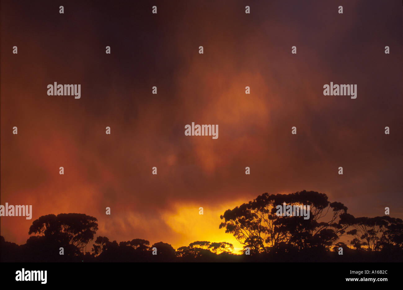 Fire in the sky outback Australia Stock Photo - Alamy