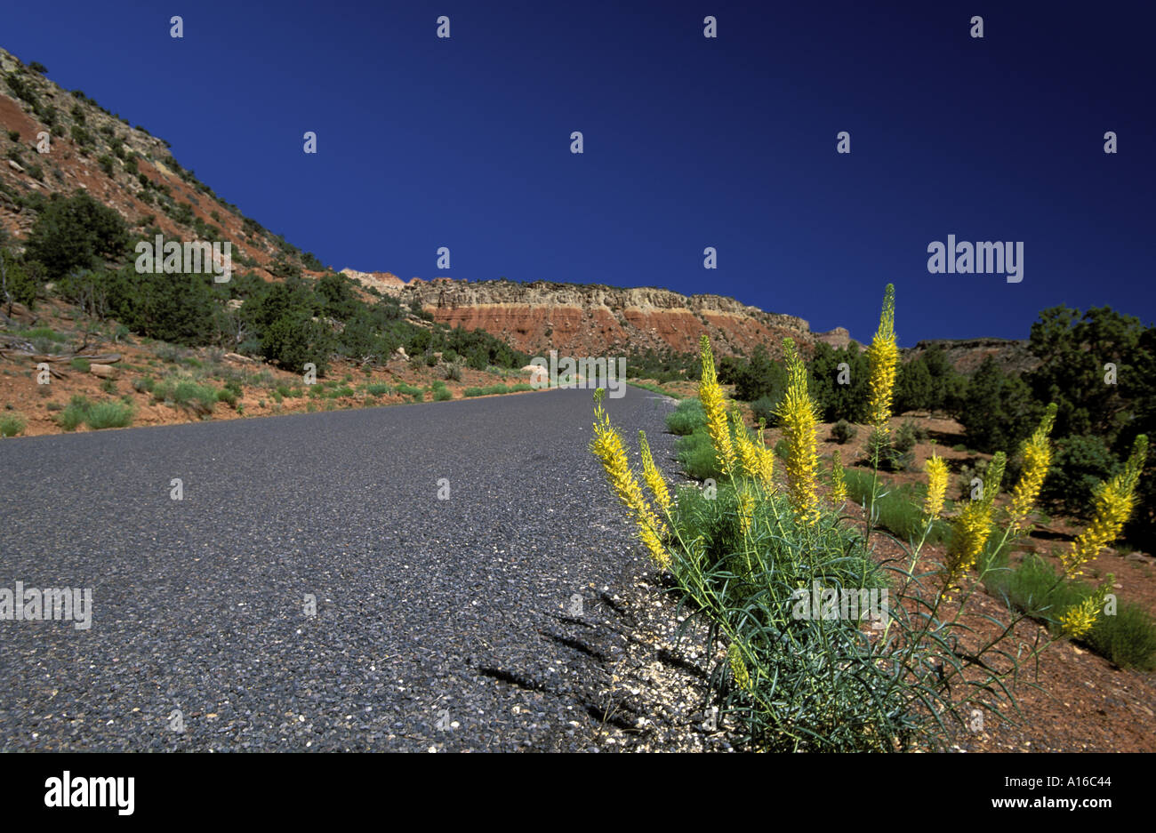 Capitol reef nationalpark hi-res stock photography and images - Alamy