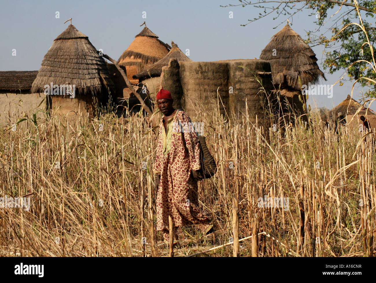 Somba or Betamaribe man in front of a tata house , Nadoba , Tamberma ...