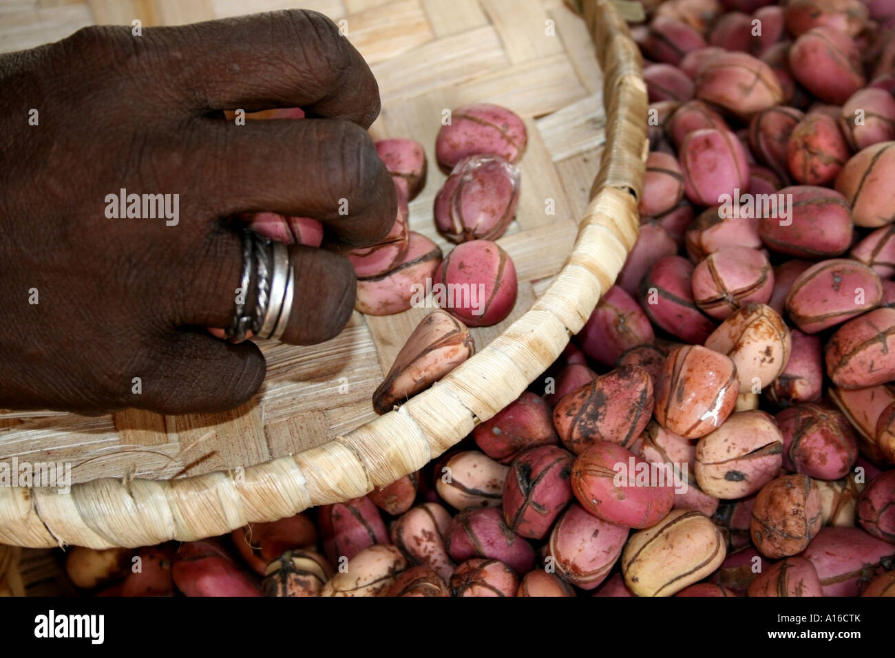 Kola Nut Ceremony