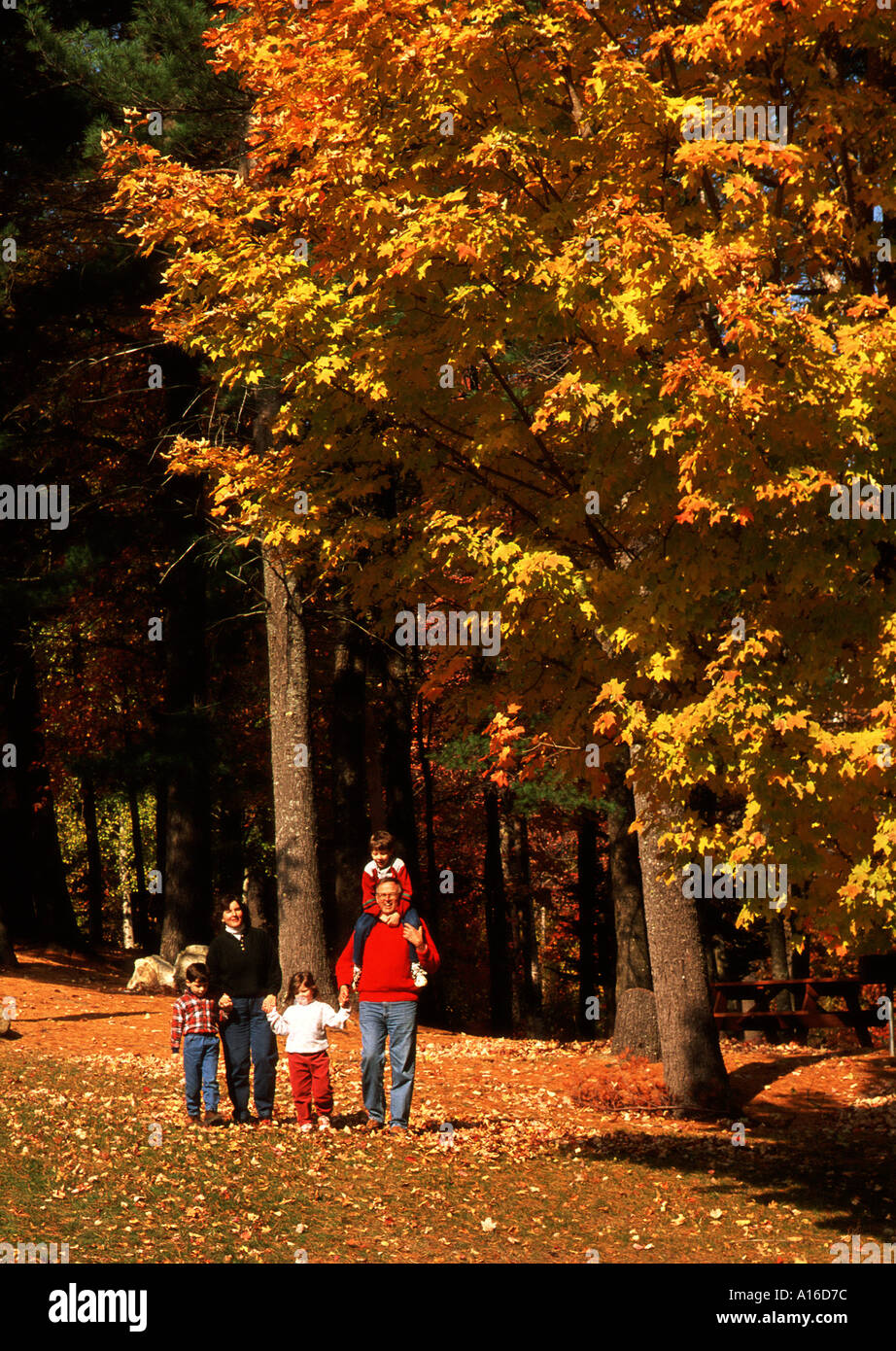 Father daughter sharing picnic moment hi-res stock photography and ...
