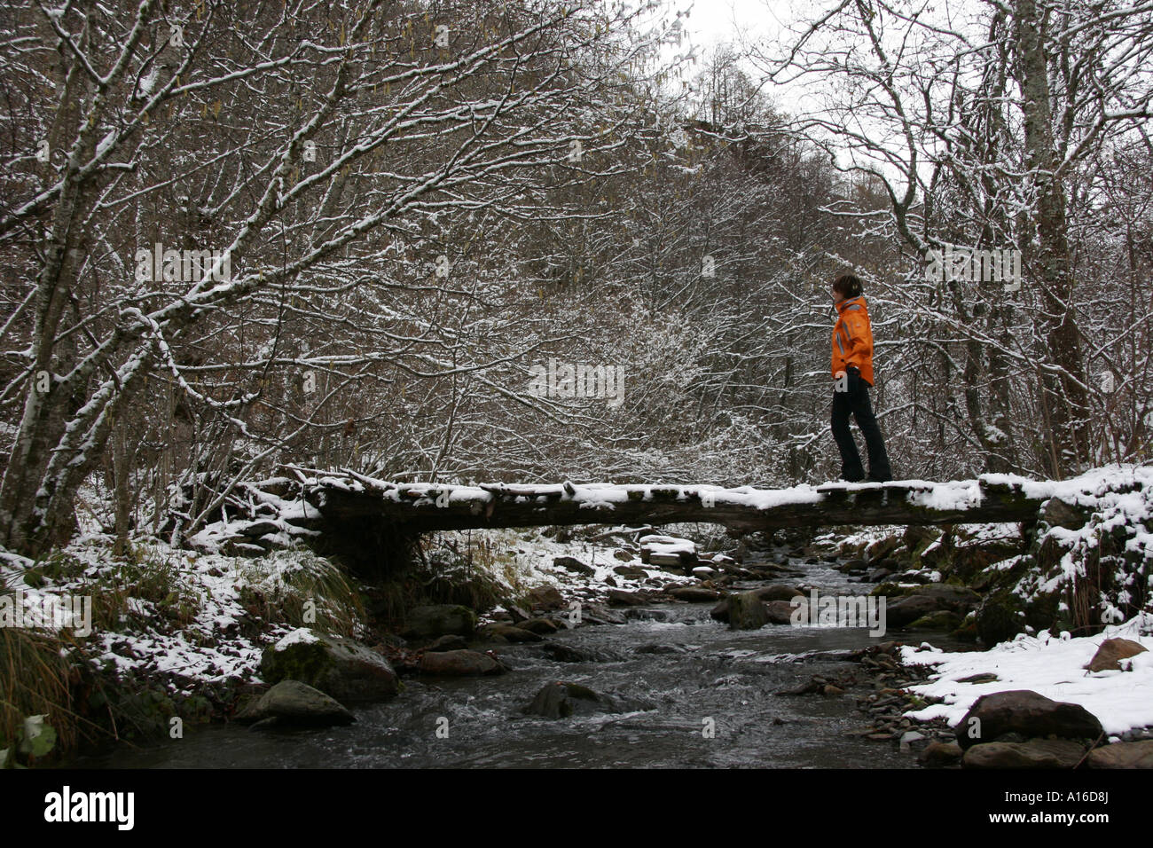 Toran river Aran valley Catalonia Spain Stock Photo - Alamy