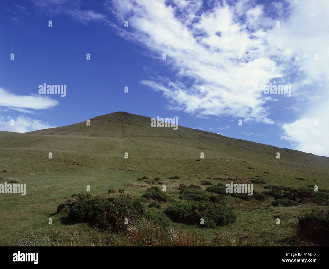 Fantastic views looking up to Hay Bluff a mountain in the Black ...