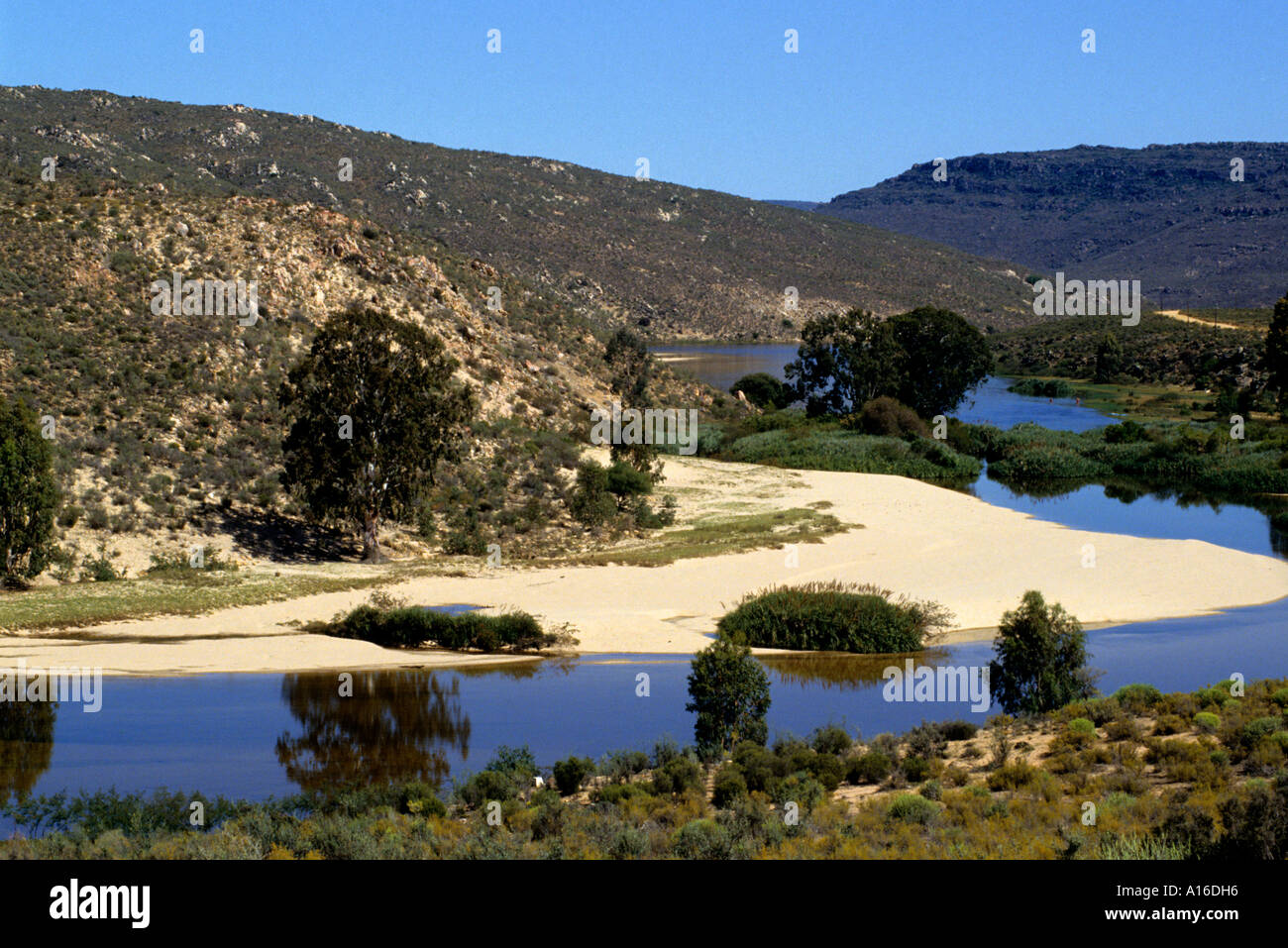 Karoo desert elephants river south africa african hi-res stock ...