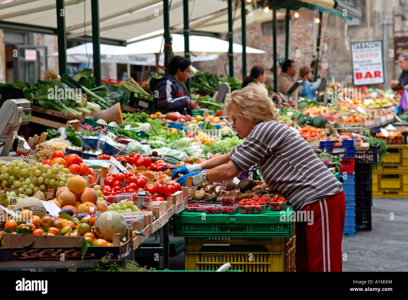 DAILY FOOD MARKET IN PISA TUSCANY ITALY Stock Photo - Alamy