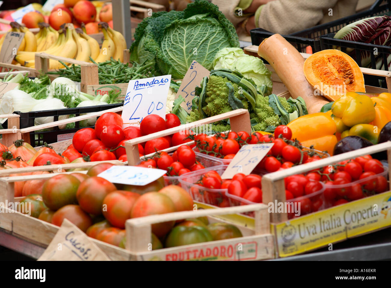 DAILY FOOD MARKET IN PISA TUSCANY ITALY Stock Photo - Alamy
