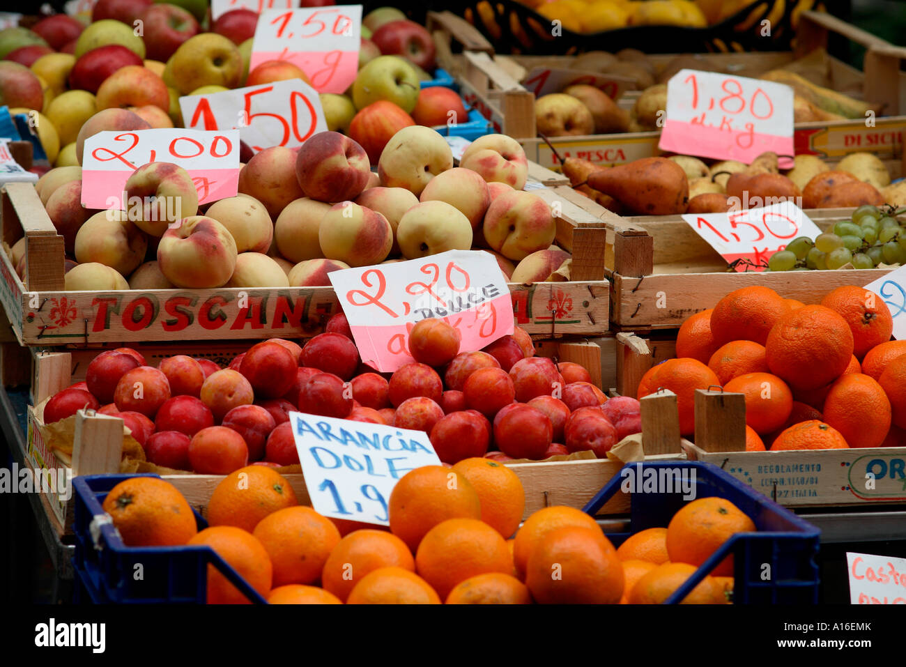 DAILY FOOD MARKET IN PISA TUSCANY ITALY Stock Photo - Alamy