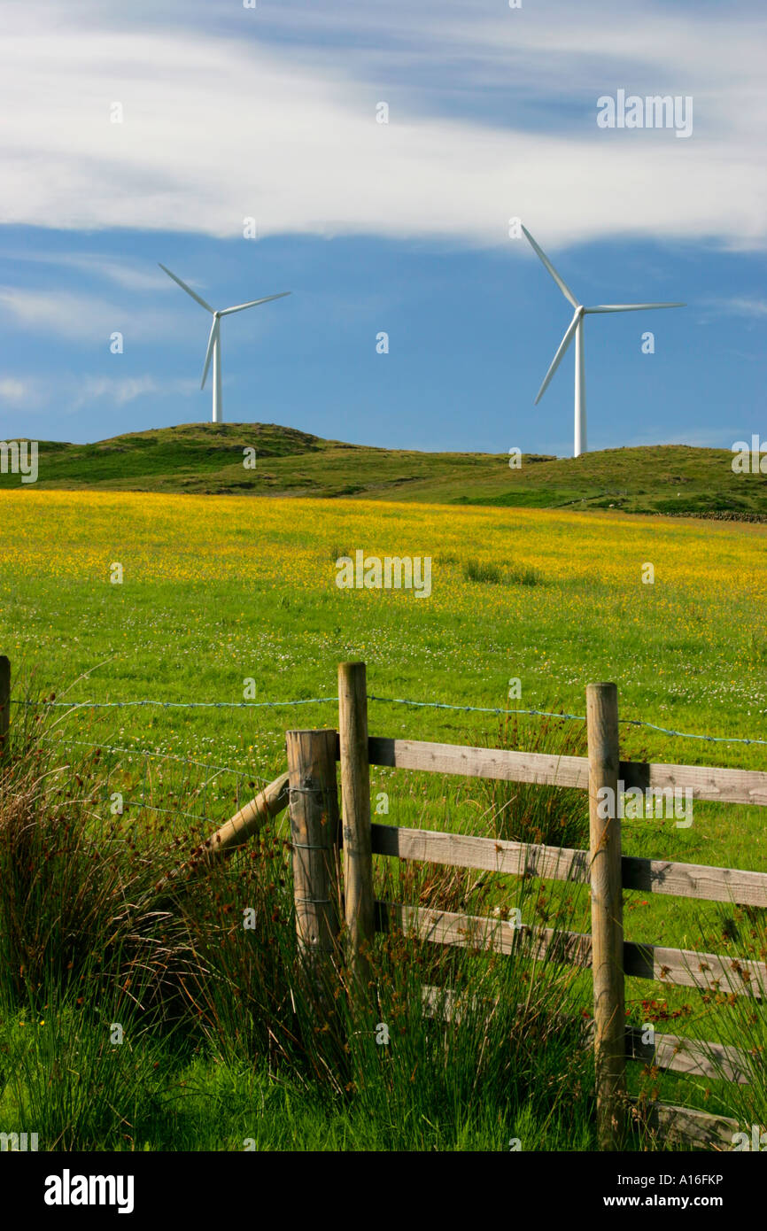 Artfield hi-res stock photography and images - Alamy