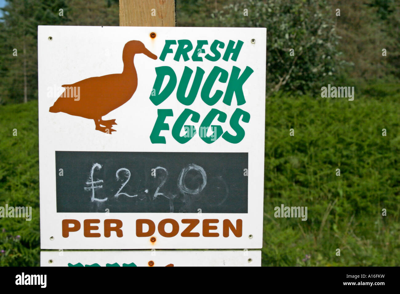 Duck eggs sign Stock Photo - Alamy