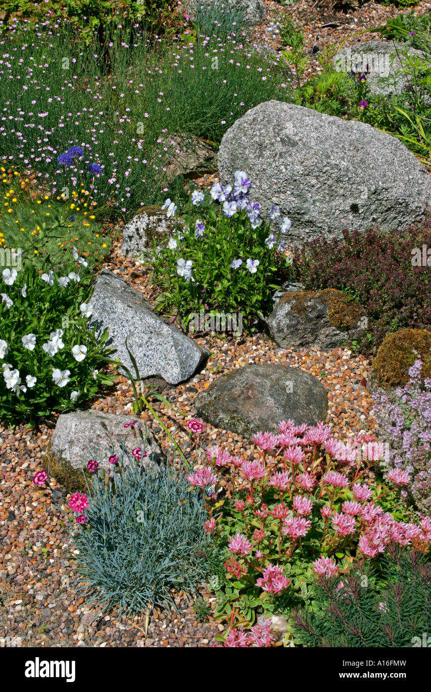 Rock feature garden flowers hi-res stock photography and images - Alamy