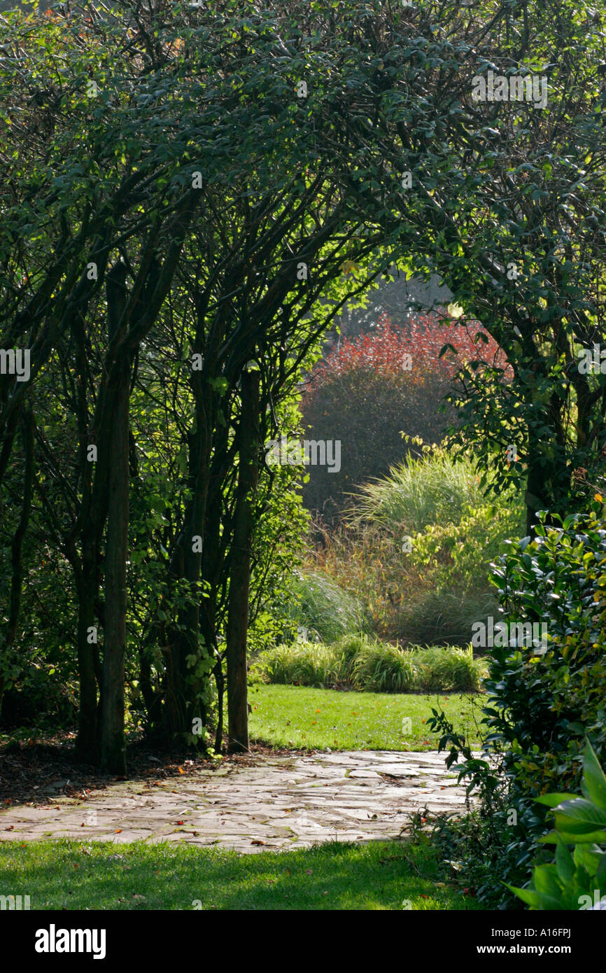 Laburnum Archway High Resolution Stock Photography and Images - Alamy