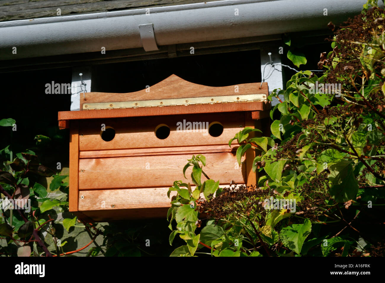 Bird nest box for sparrows under roof eaves of house Stock Photo - Alamy