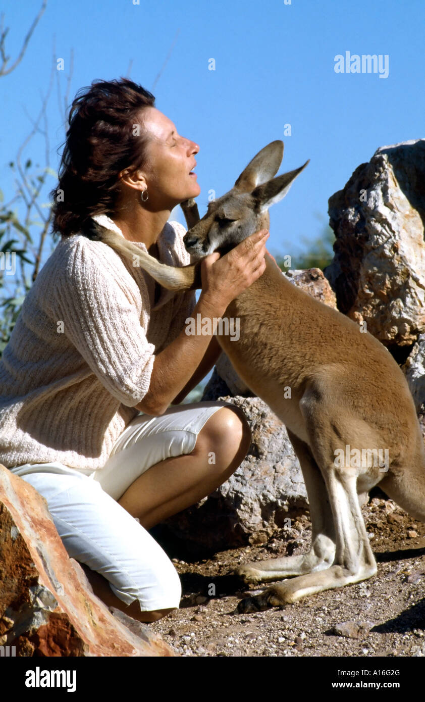 woman hugging kangaroo Australia Stock Photo - Alamy