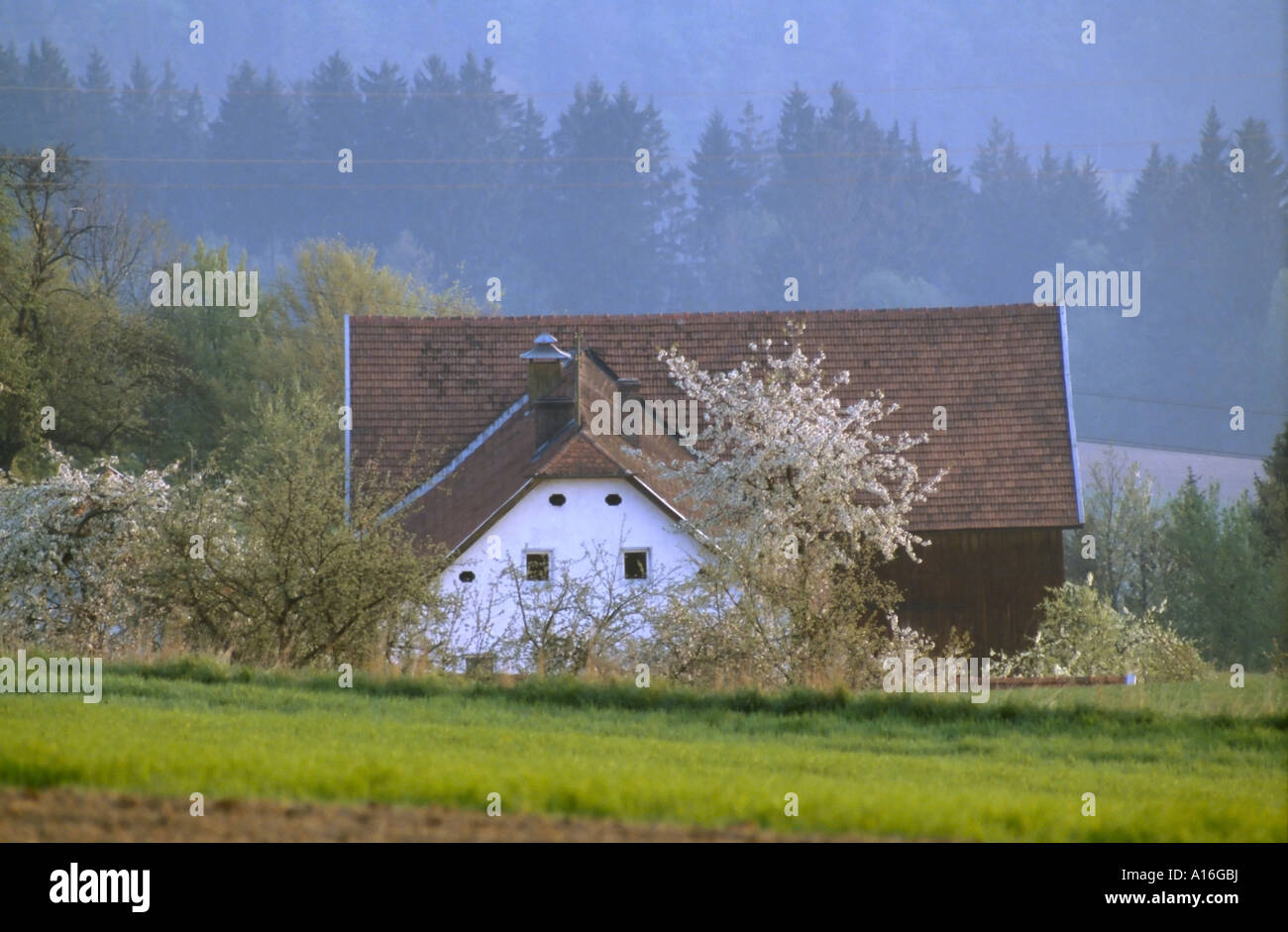 farmhouse Upper Austria Stock Photo - Alamy