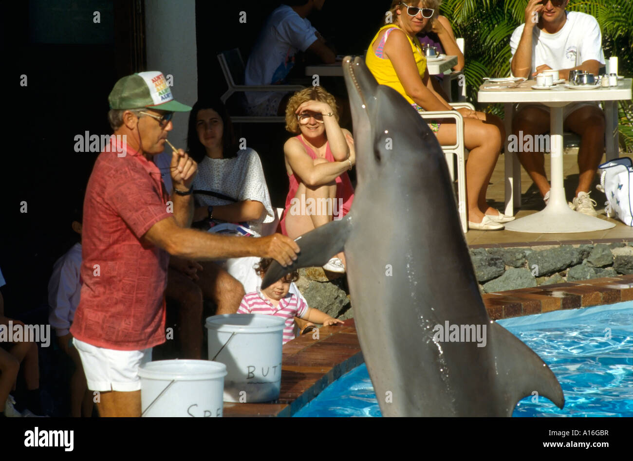 trainer with dolphin in marine park Stock Photo - Alamy