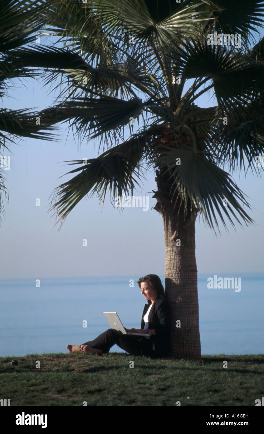 woman with laptop sitting under palm tree by seaside Stock Photo - Alamy