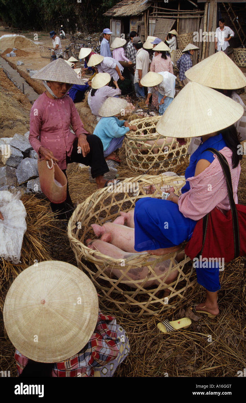 Typical Vietnamese livestock market in a village outside Nha Trang ...