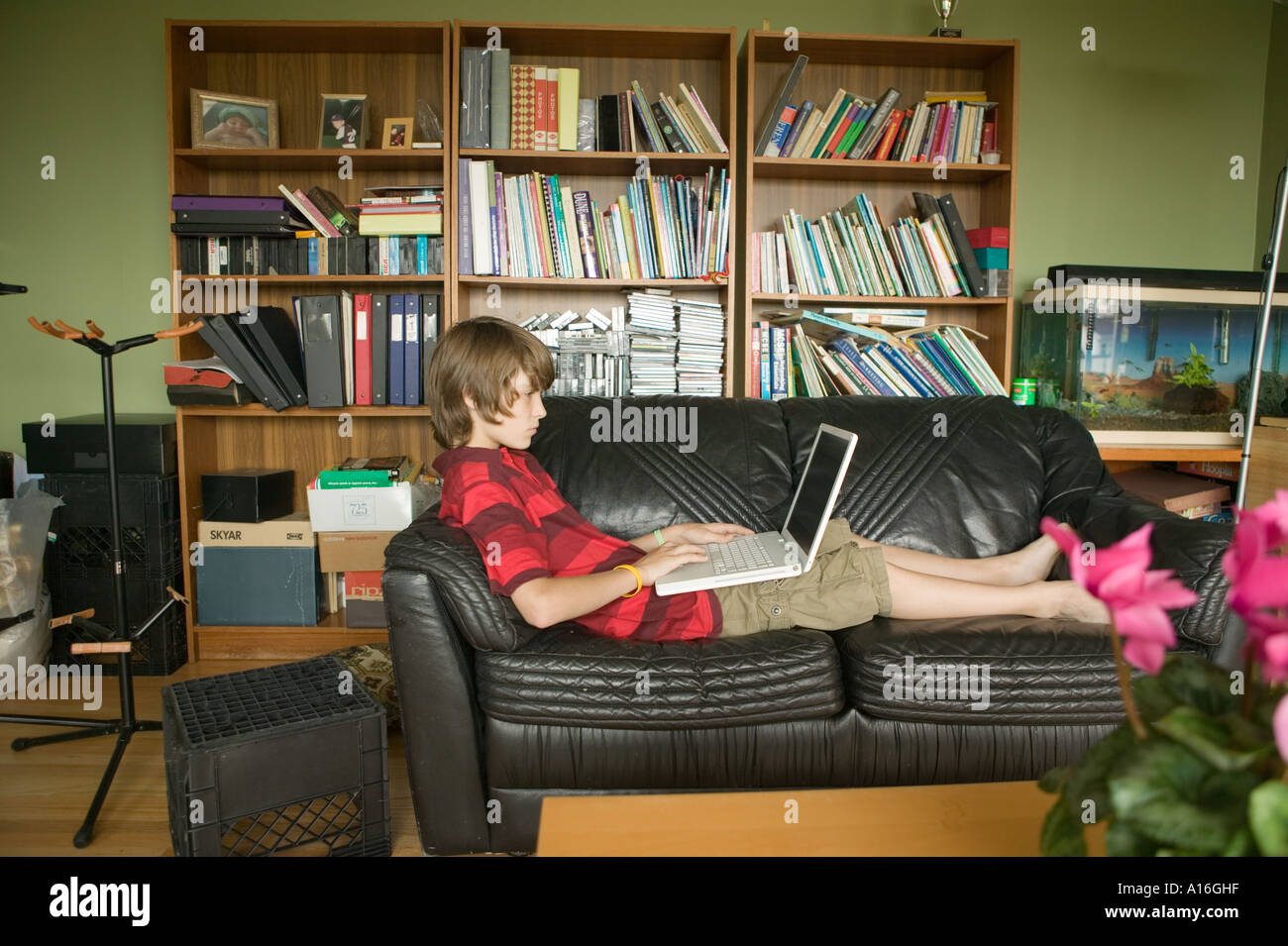 13 year old causcasian male using a laptop computer Stock Photo - Alamy