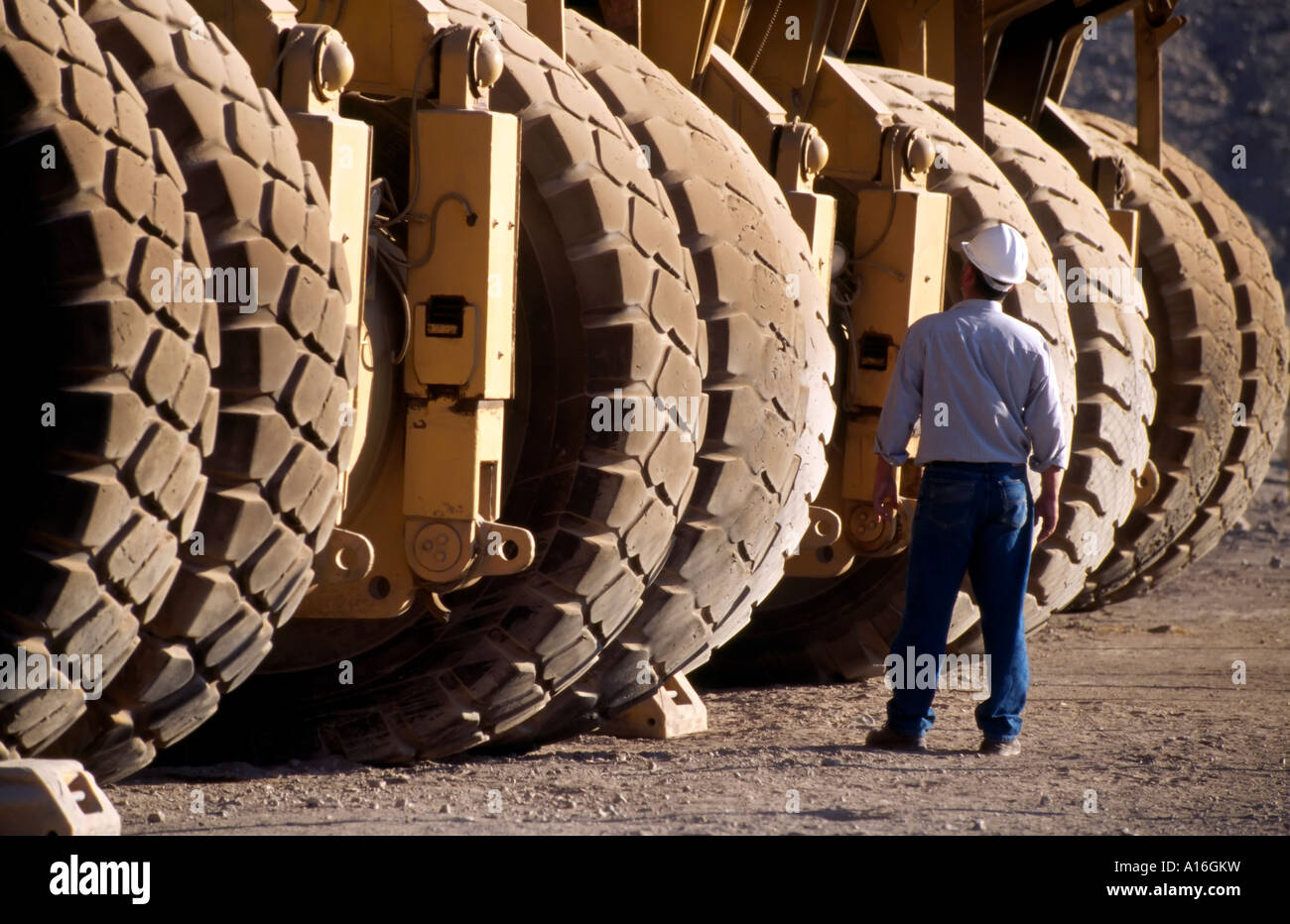 man inspecting wheels of mining dump trucks Stock Photo - Alamy