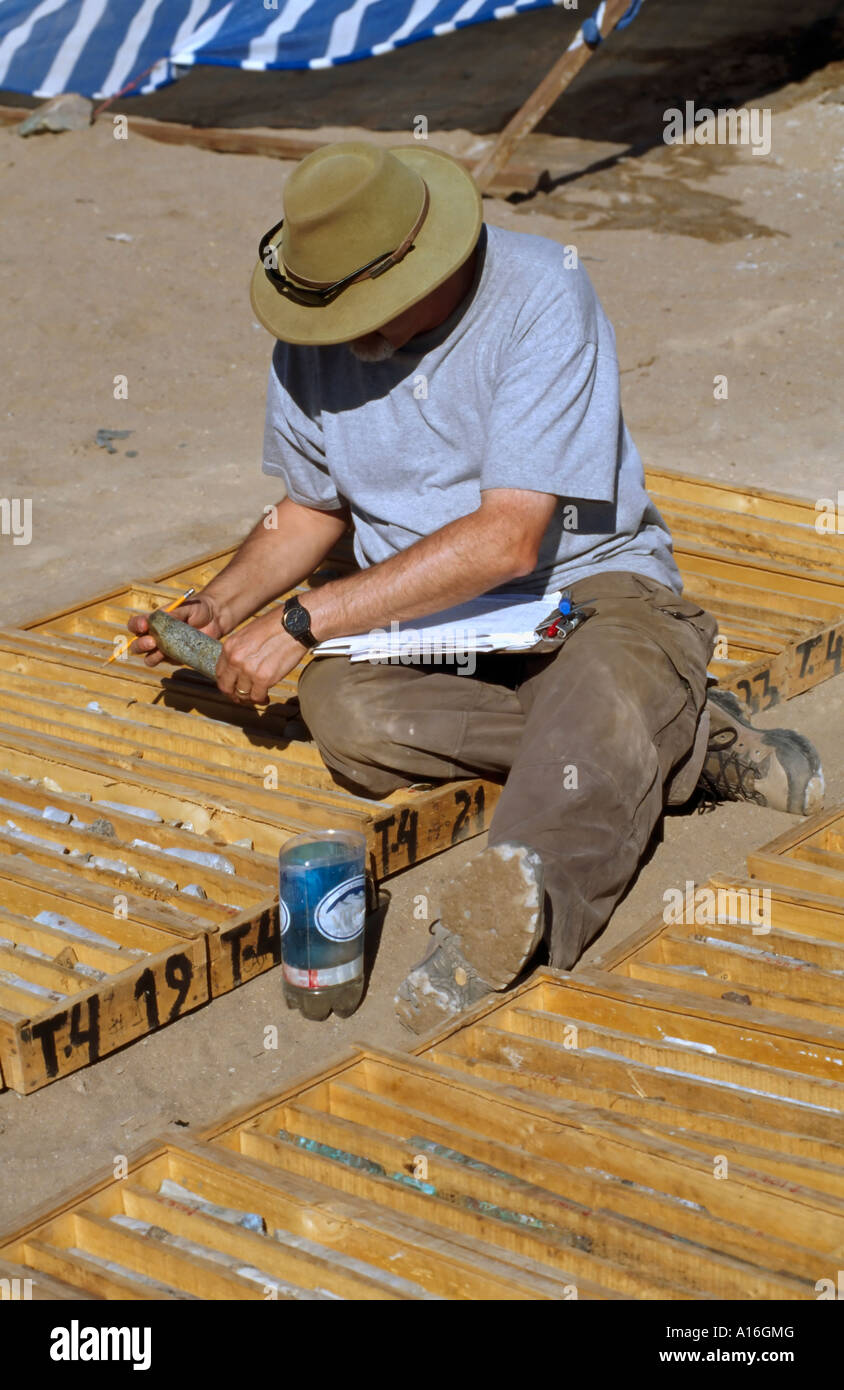 geologist logging drill cores Stock Photo - Alamy