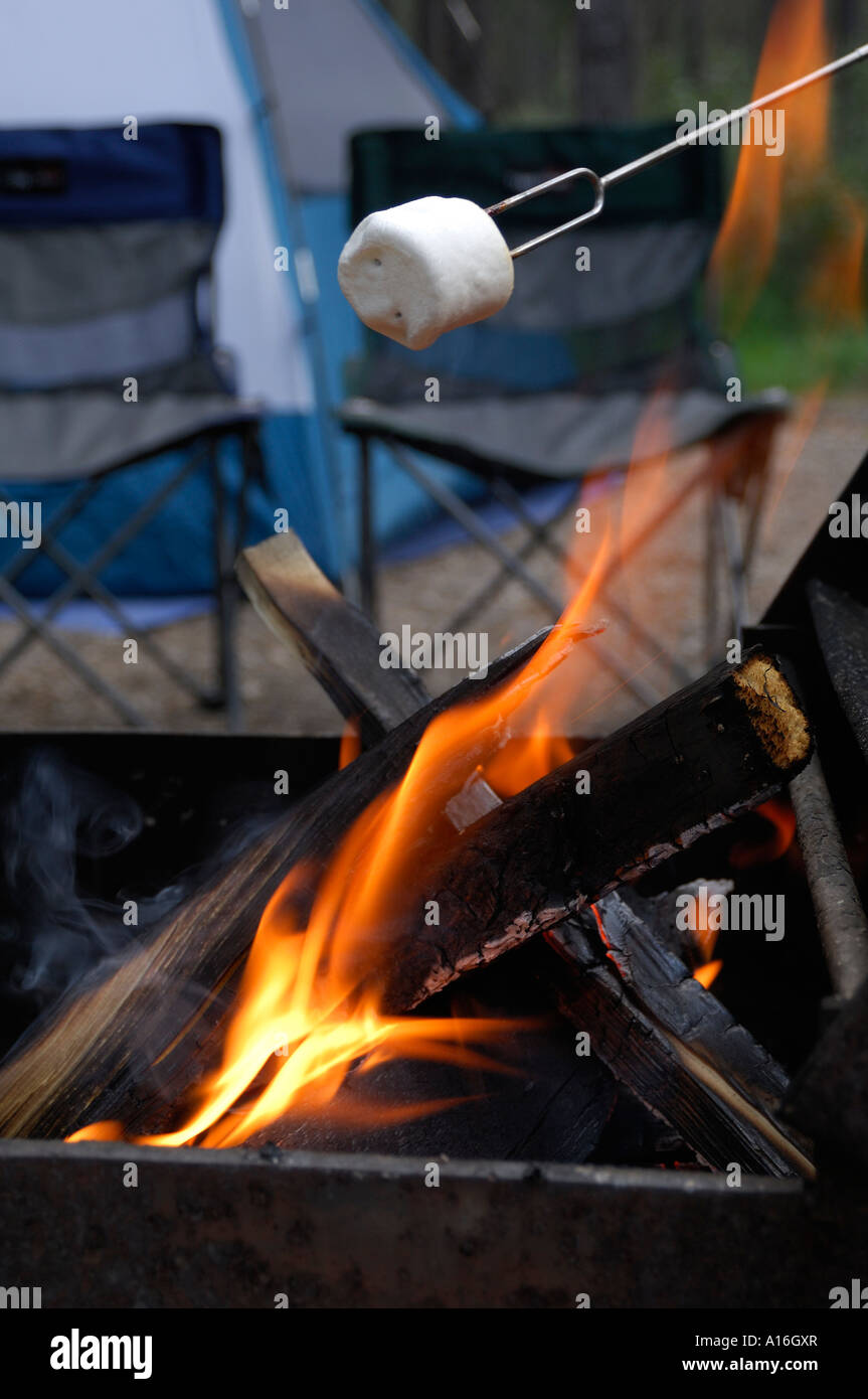 Cub scout camp hi-res stock photography and images - Alamy