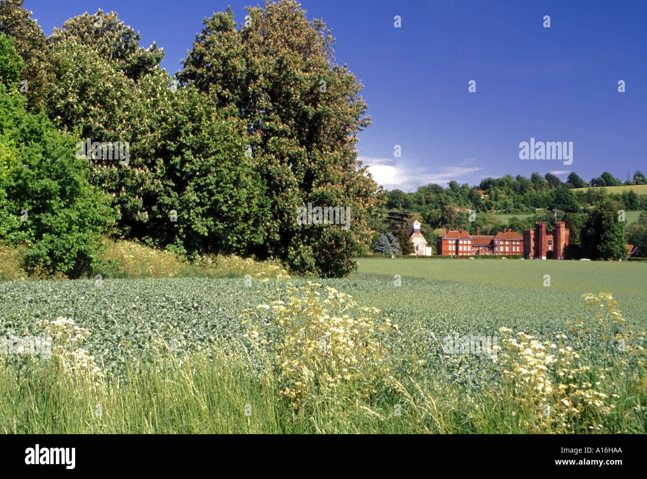england kent lullingstone castle Stock Photo - Alamy