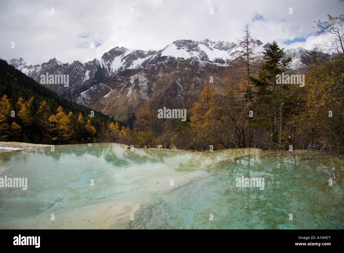 Forest hill pools hi-res stock photography and images - Alamy