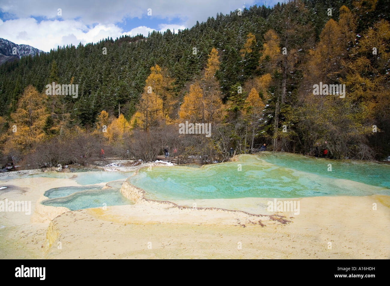 Forest hill pools hi-res stock photography and images - Alamy
