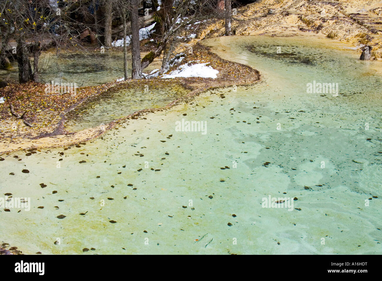Calcification Pools at HuangLong,China Stock Photo - Alamy