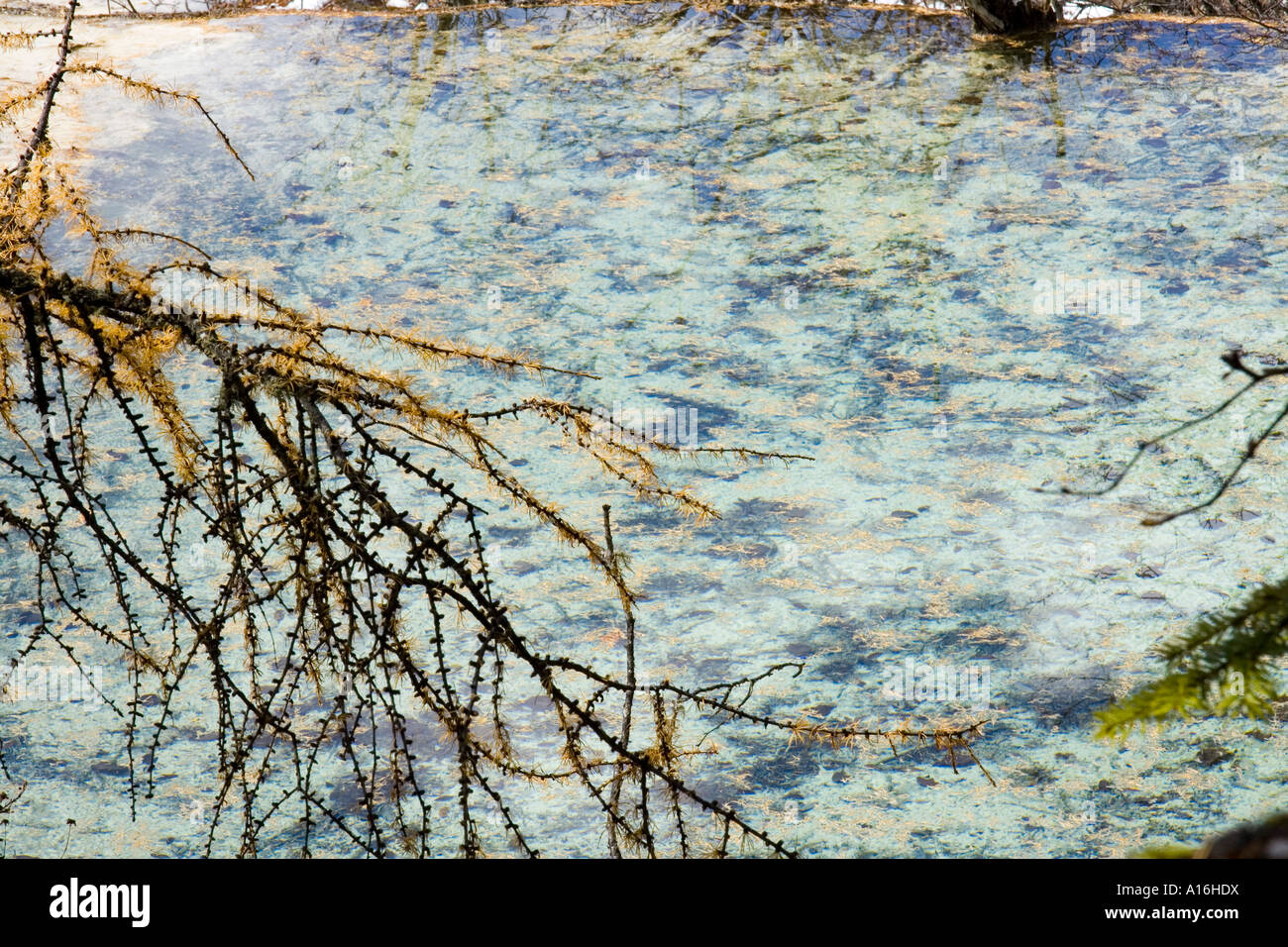 Calcification Pools at HuangLong,China Stock Photo - Alamy