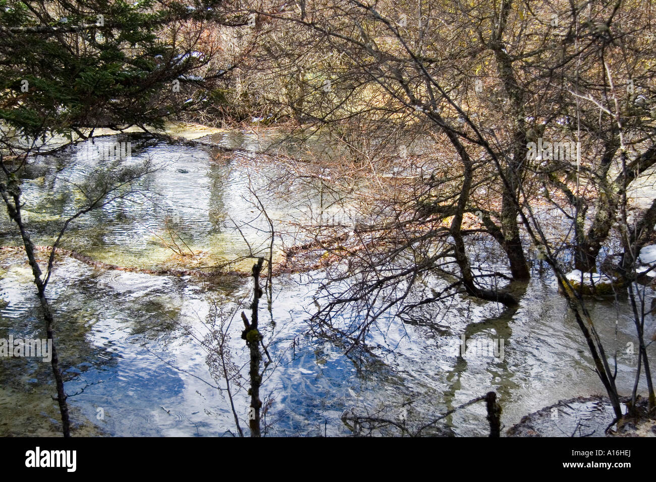 Calcification Pools at HuangLong,China Stock Photo - Alamy