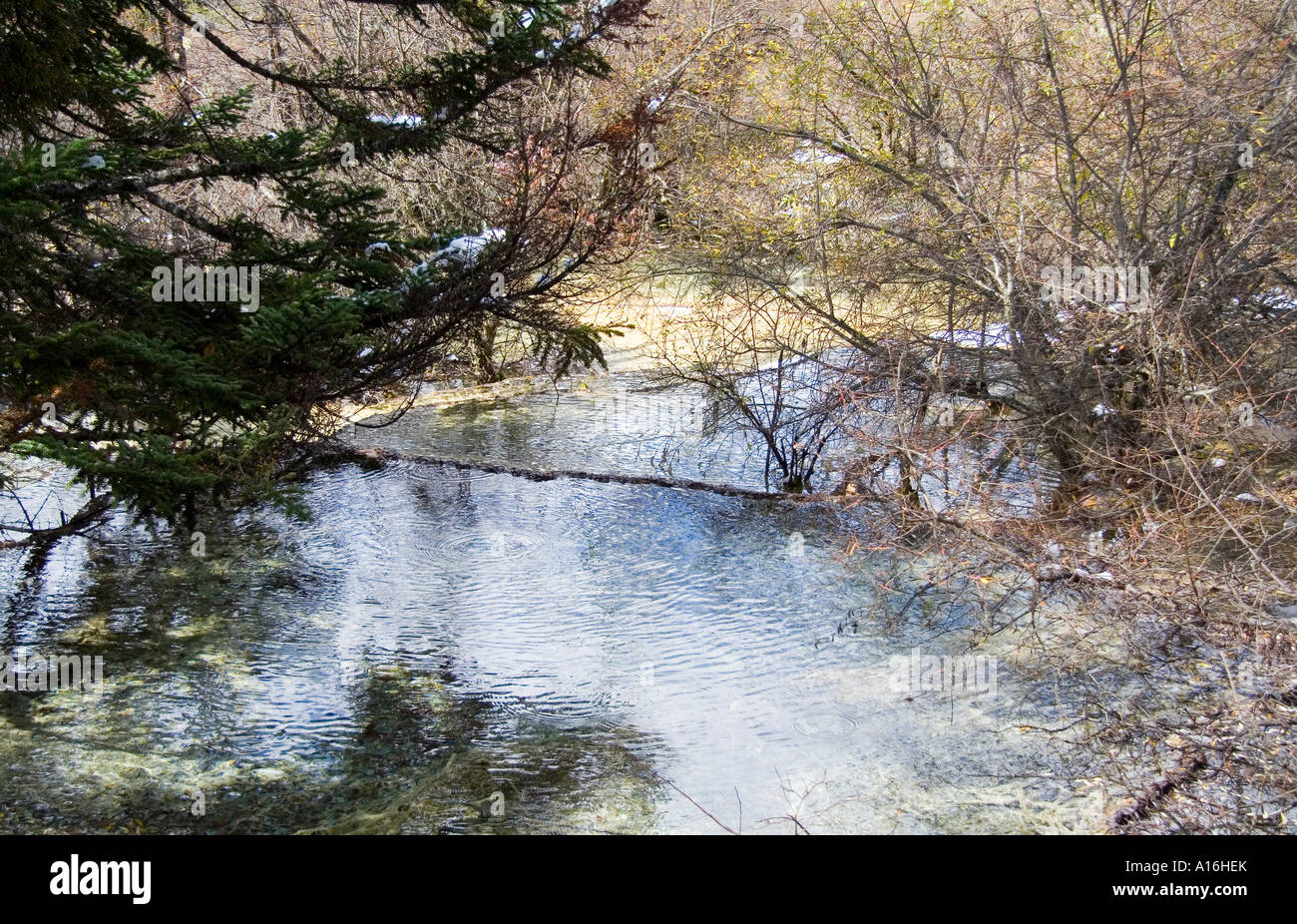 Calcification Pools at HuangLong,China Stock Photo - Alamy