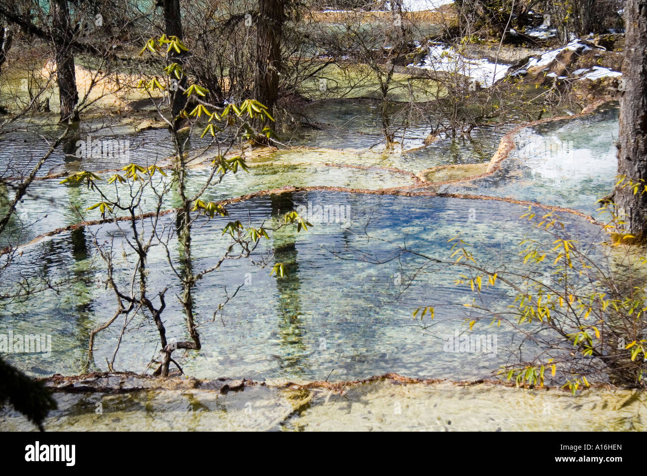 Calcification Pools at HuangLong,China Stock Photo - Alamy