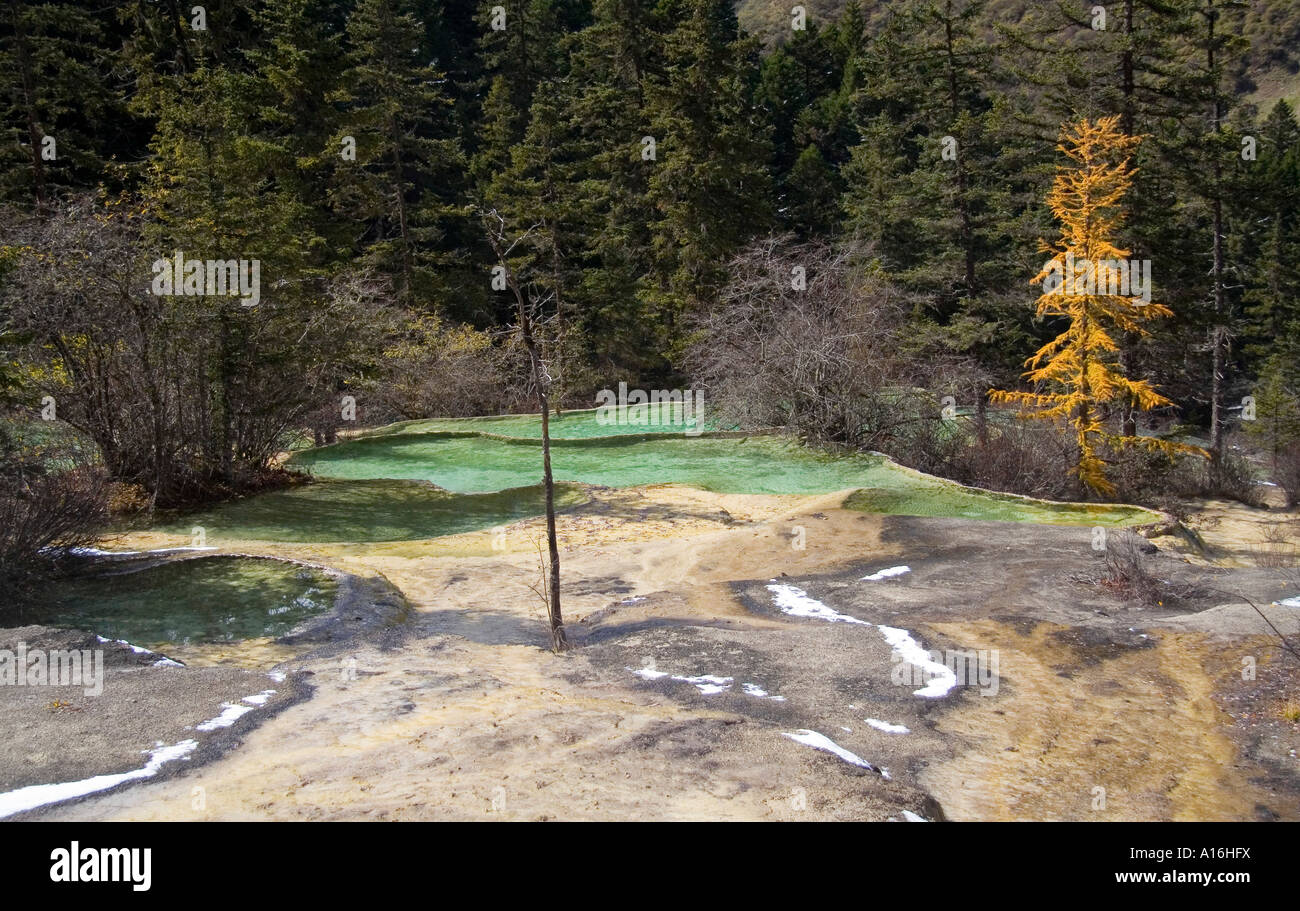 Calcification pools at HuangLong,China Stock Photo - Alamy