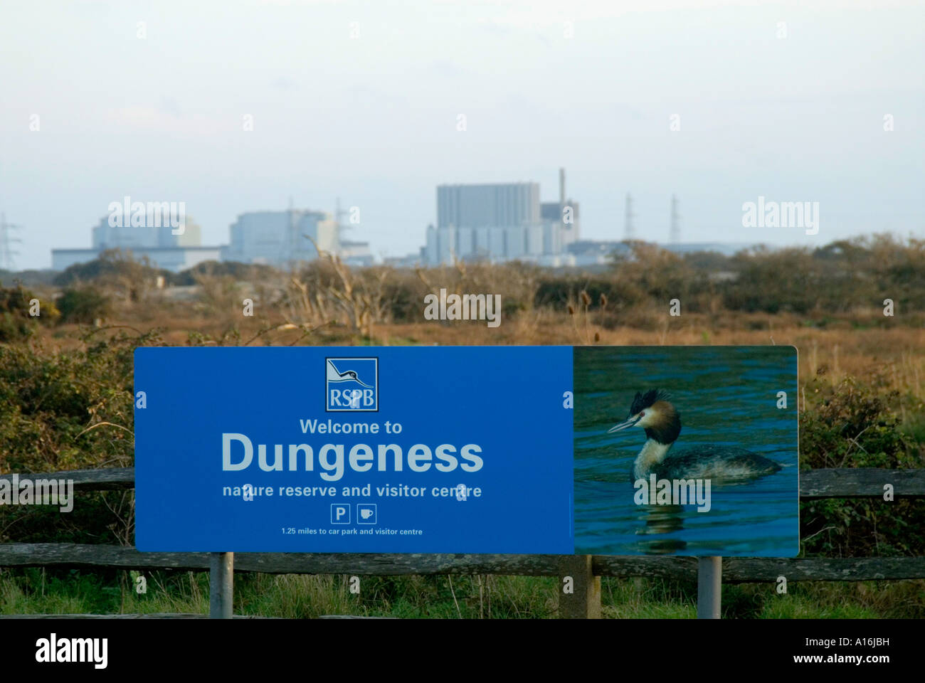 Dungeness rspb reserve kent hi-res stock photography and images - Alamy