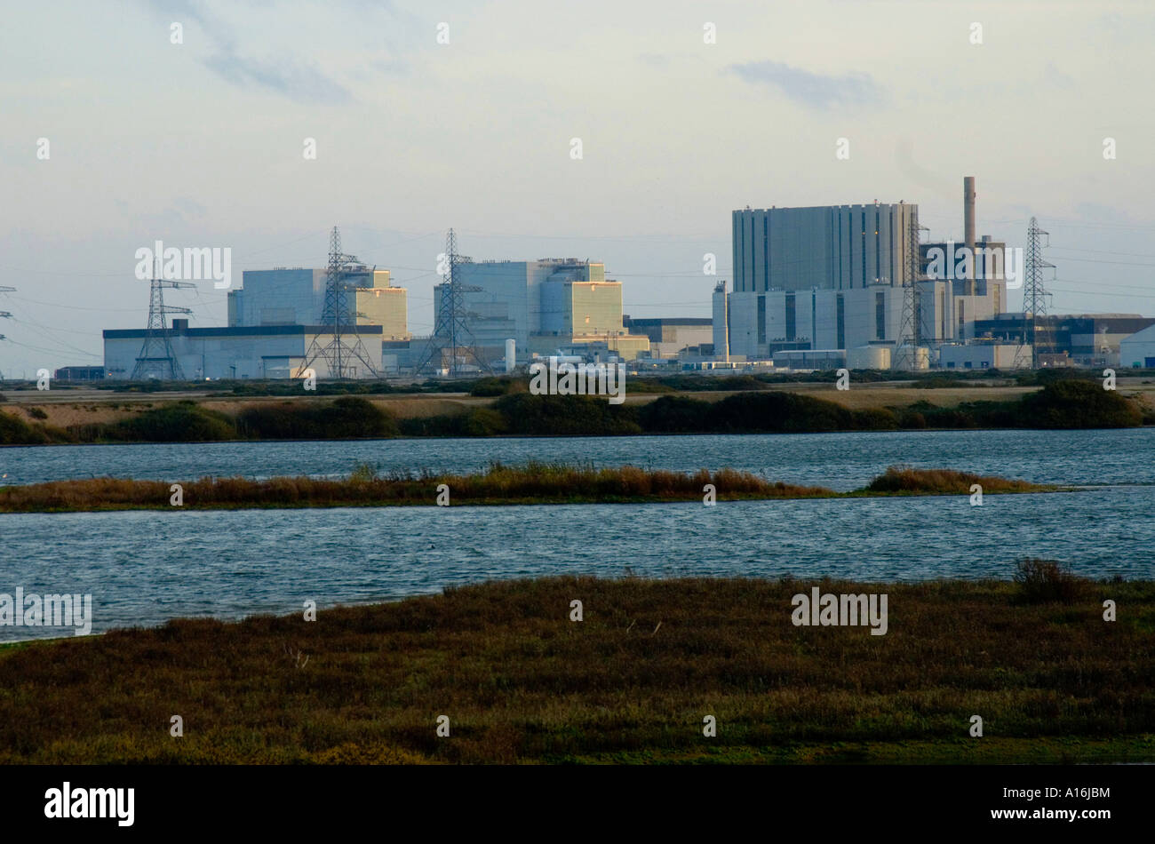 RSPB Nature Reserve, Dungeness Stock Photo - Alamy