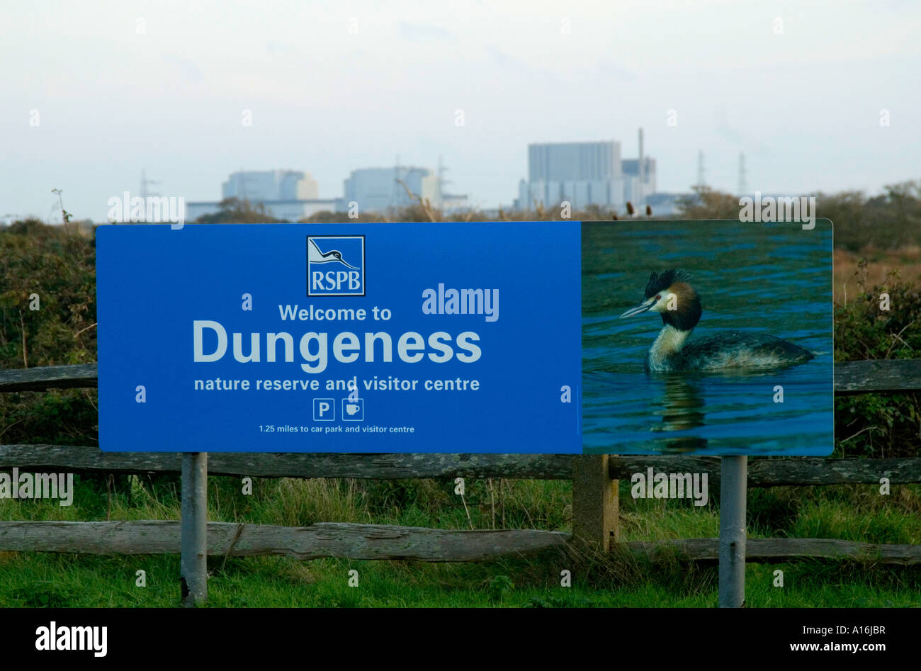 Rspb dungeness nature reserve hi-res stock photography and images - Alamy