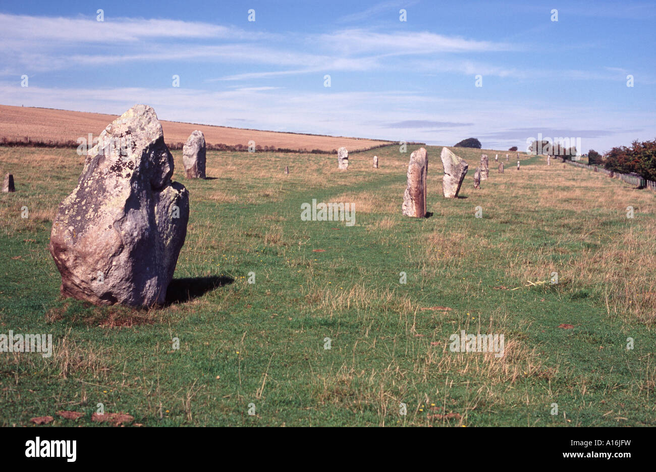 Lines of standing stones (c. 2200 BC) on Stone Avenue leading to ...