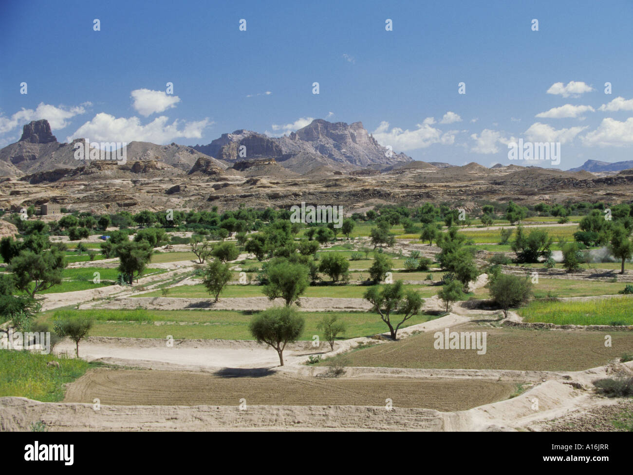 Abyan hi-res stock photography and images - Alamy