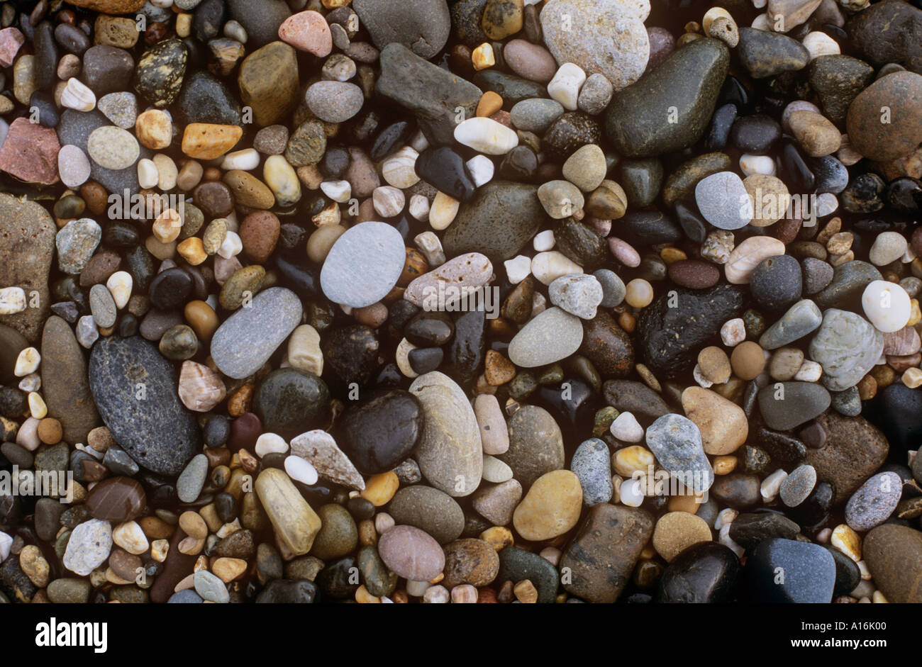 Multi coloured pebbles on a beach Stock Photo - Alamy