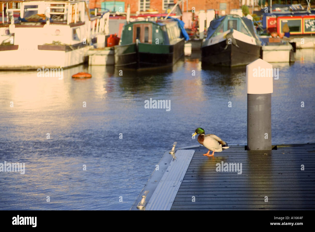 england midlands worcestershire worcester diglis basin junction of the river severn and the ...