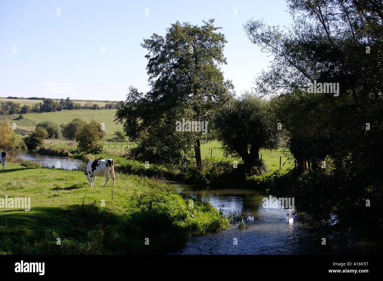 A rural scene in Asthall, near Burford, Oxfordshire, England Stock ...