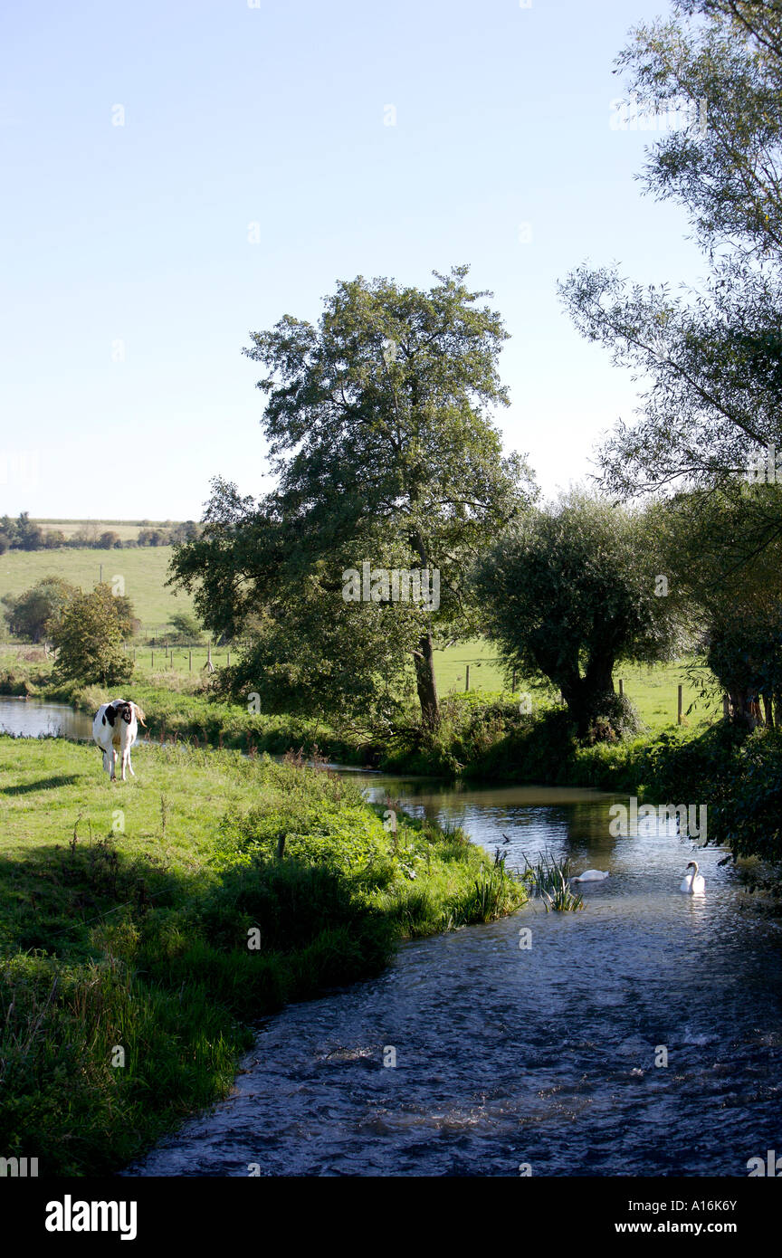 Asthall river hi-res stock photography and images - Alamy