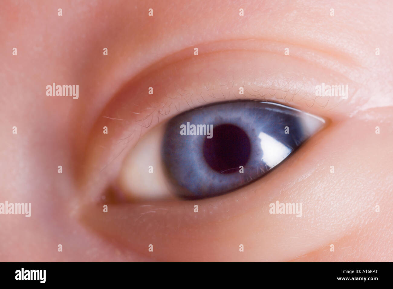 CLOSE UP OF BABY S EYE Stock Photo - Alamy