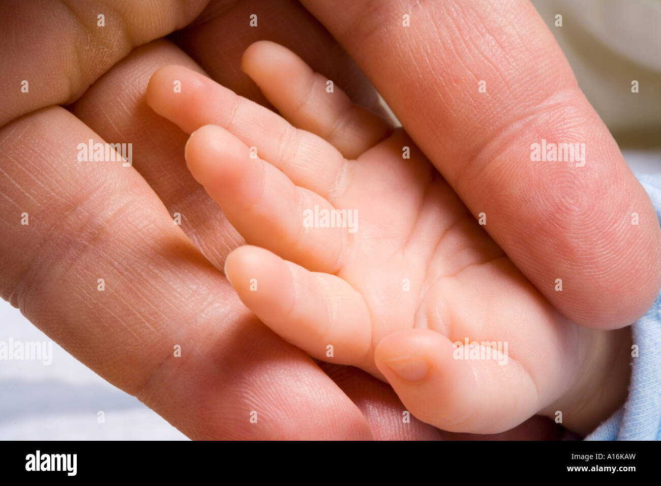 FATHER HOLDING BABY S HAND Stock Photo - Alamy