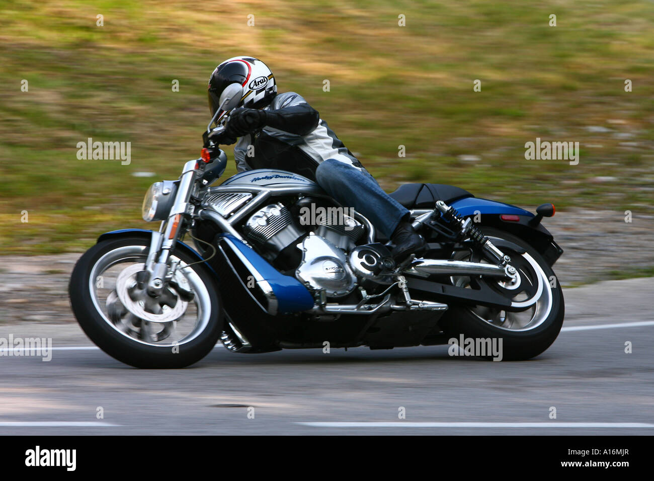 V-Rod motorcycle rider Stock Photo - Alamy