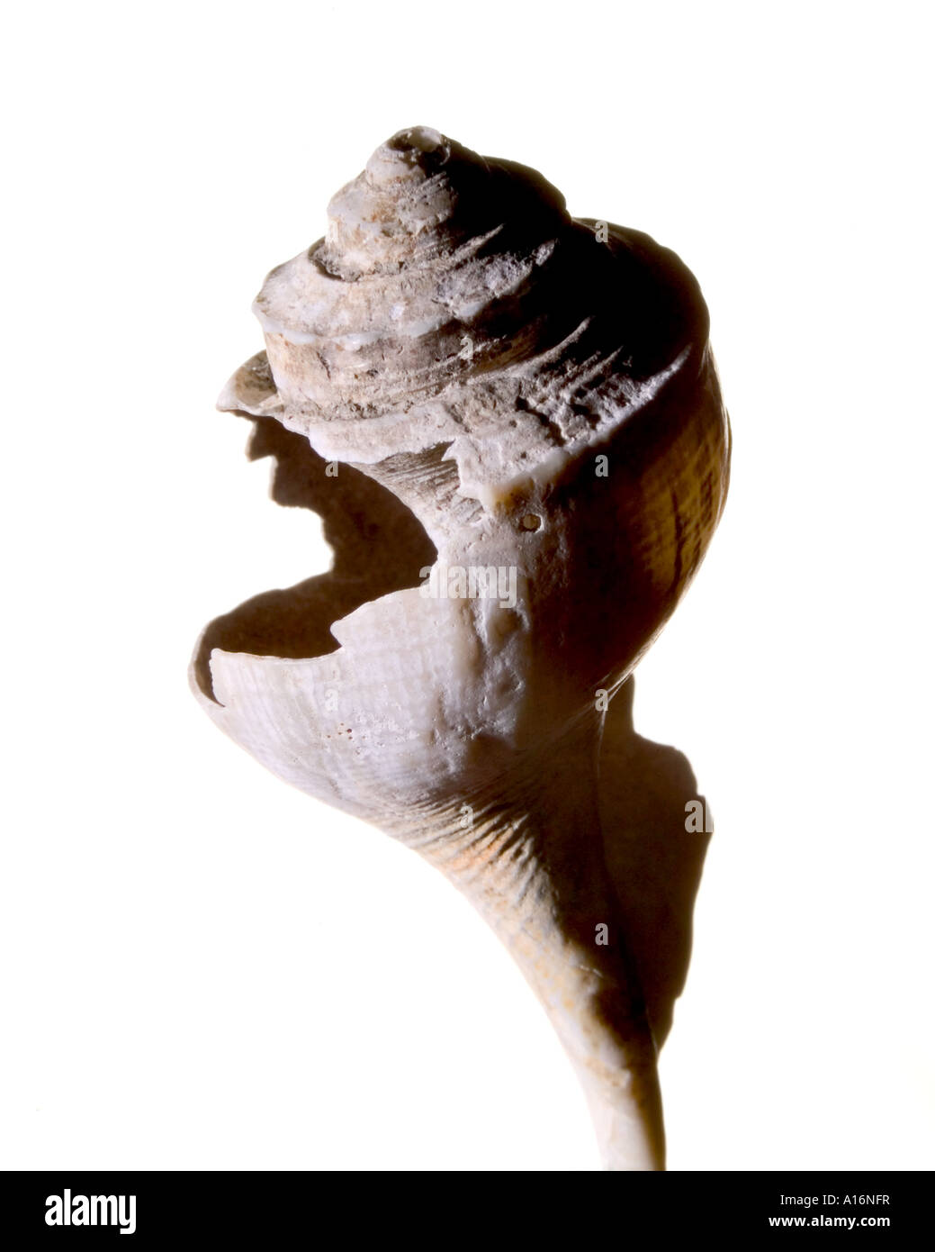 Weathered worn texture Cut Out Stock Images & Pictures - Alamy