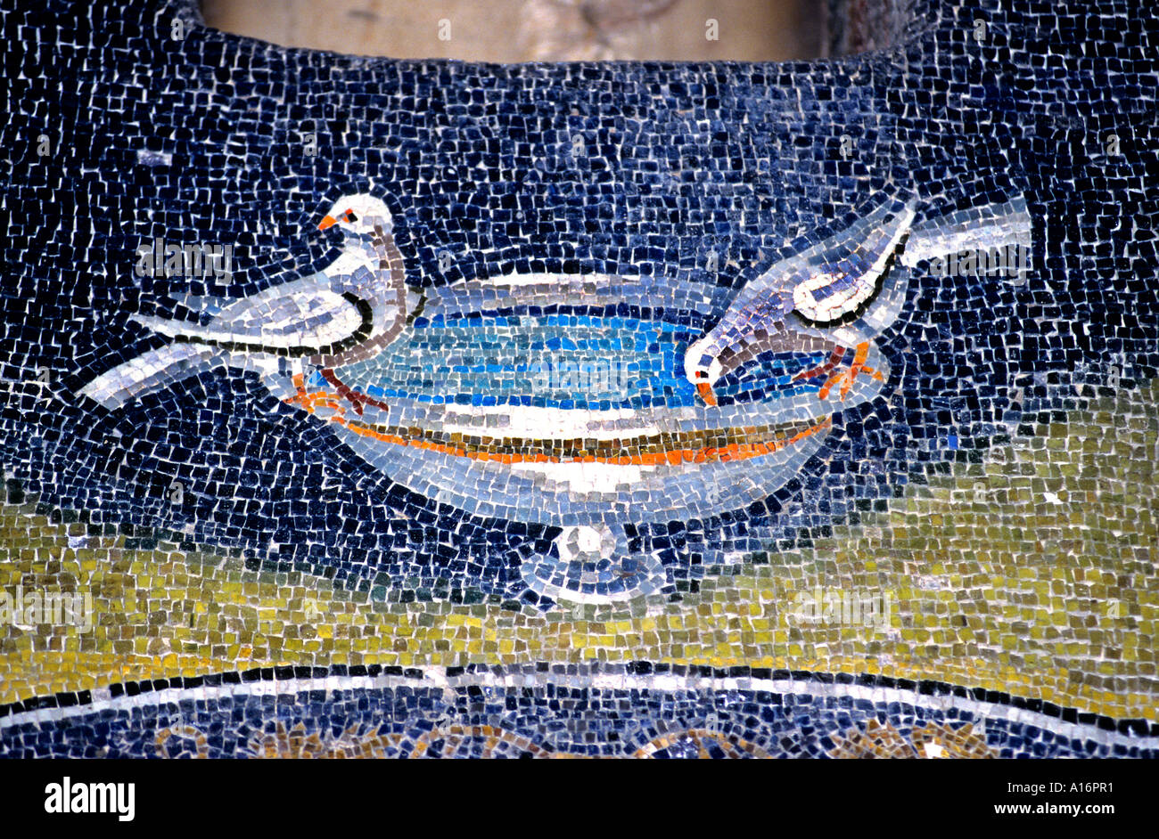 Arian Baptistry in Ravenna Mosaics Italy Italian pigeon dove pigeons ...