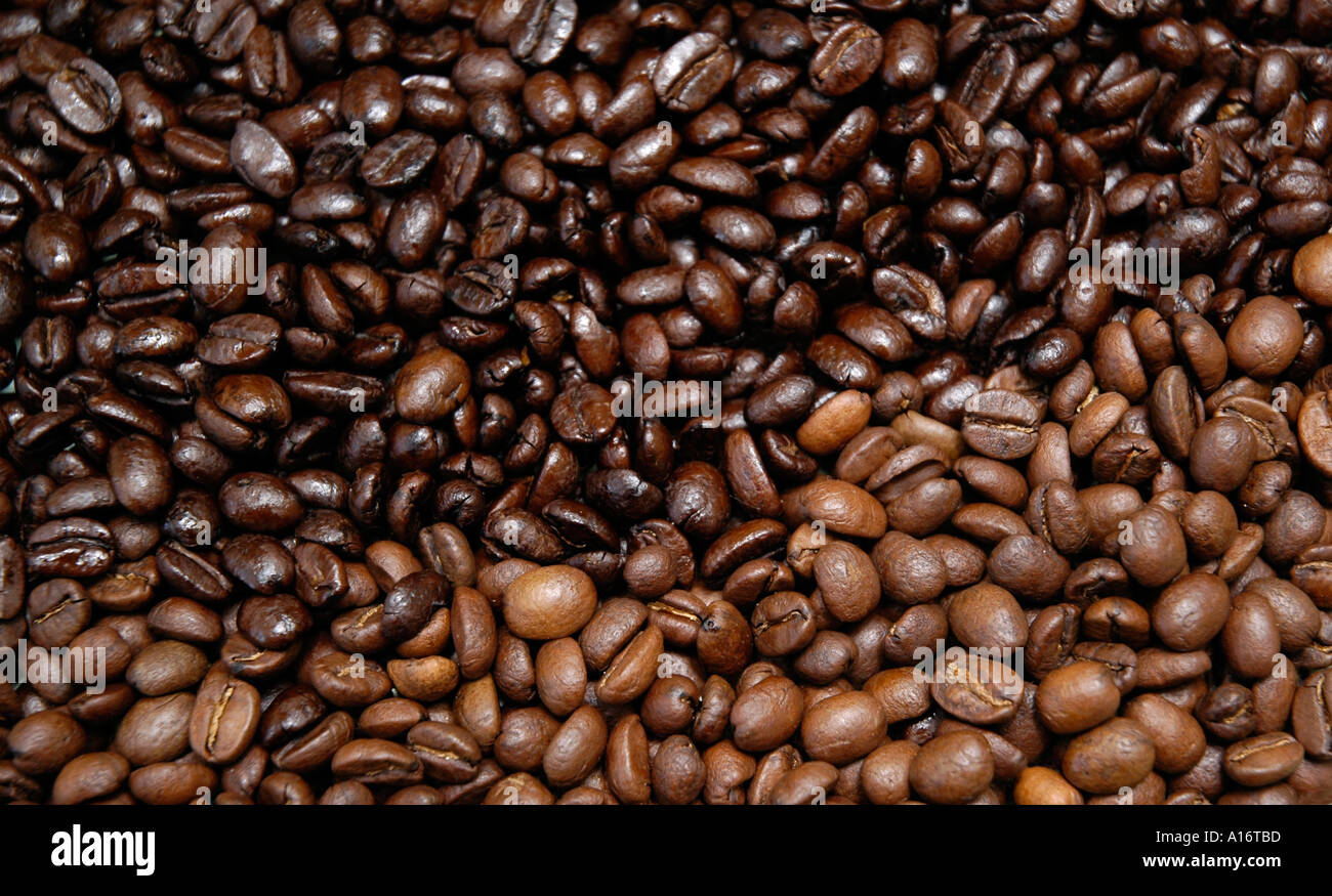 Espresso coffee in a decorative espresso coffee cup full of freshly ...